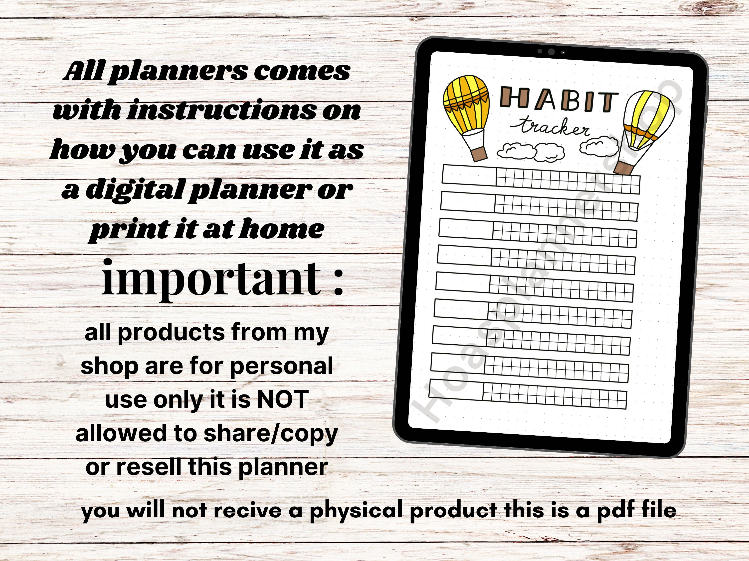 May 2024 Digital Bullet Journal Monthly Setup Hot Air Balloon Theme 13 ...