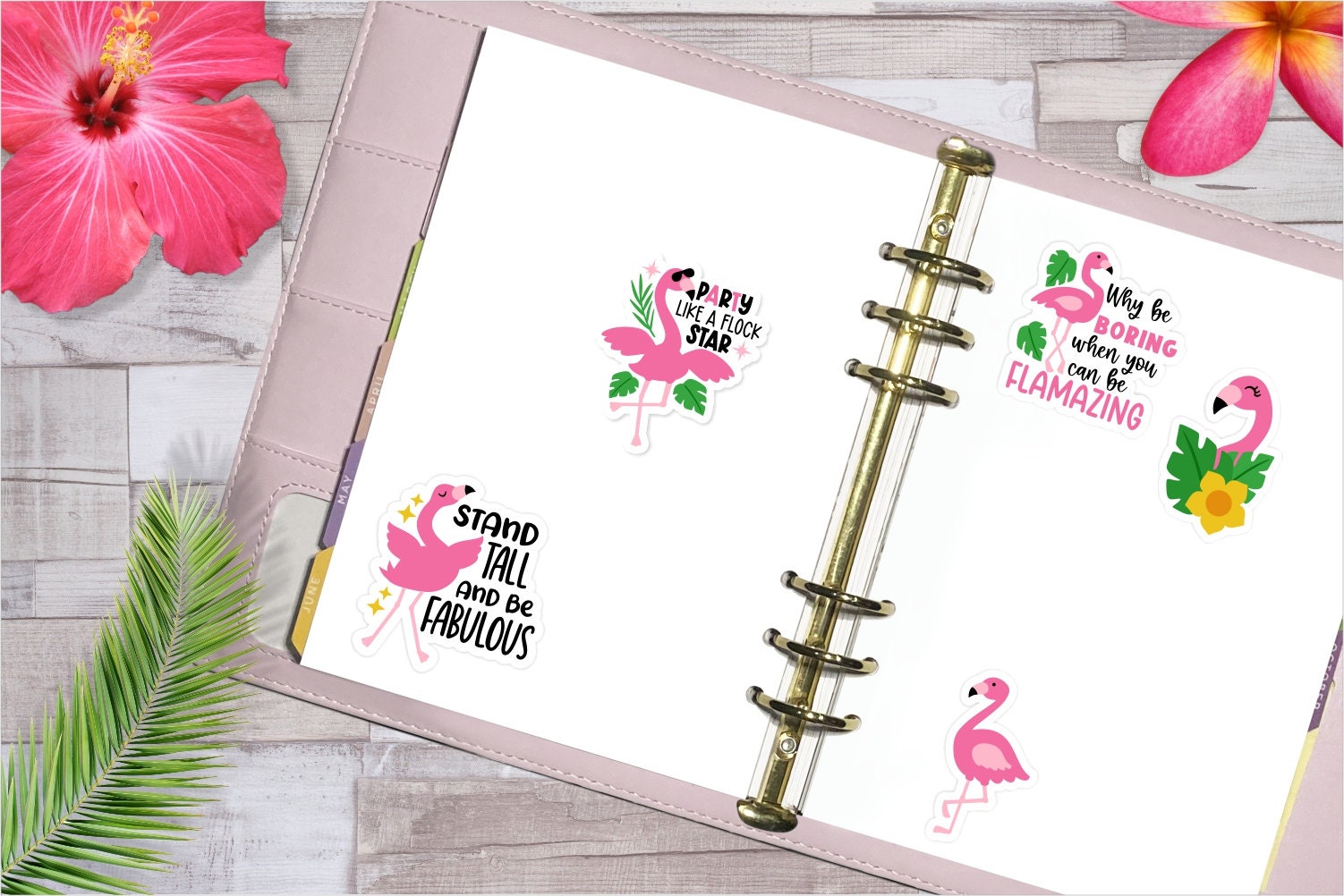 Sassy Flamingo PNG Sticker Bundle, Tropical Digital Stickers - Etsy
