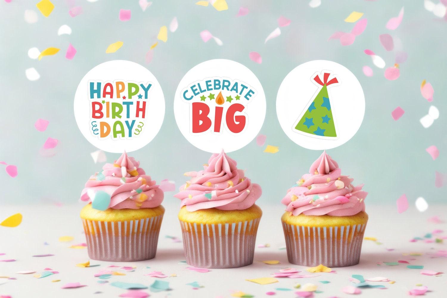 Birthday Stickers | Birthday Sticker Bundle - Etsy