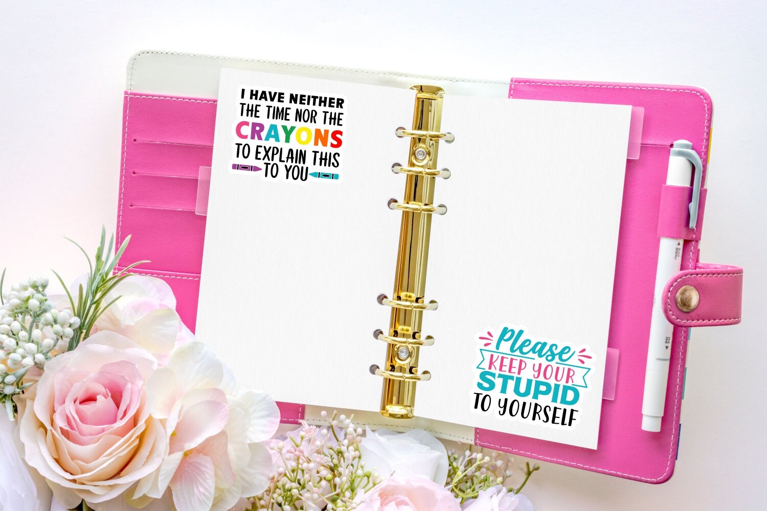 Funny PNG Stickers, Sarcastic Digital Sticker Bundle - Etsy