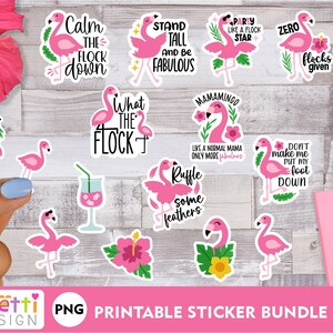 Sassy Flamingo PNG Sticker Bundle, Tropical Digital Stickers - Etsy