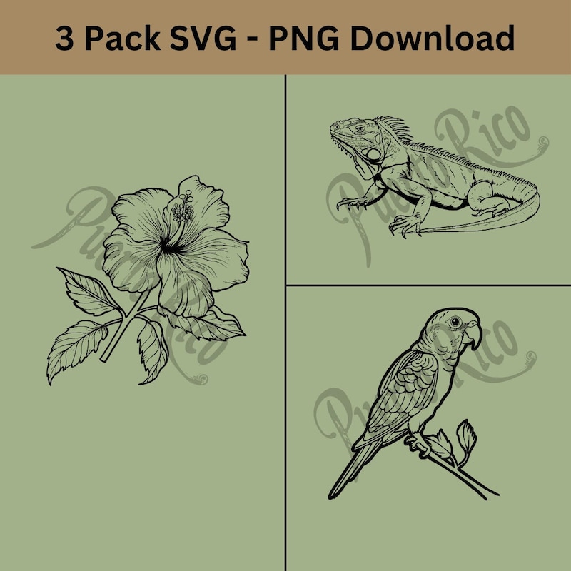 Flor De Maga Template - Etsy