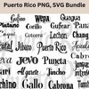 Puerto Rico Sticker| Pilon| Sazon| Waterproof Sticker - Etsy