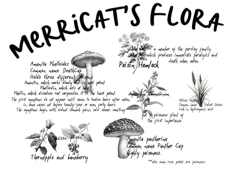 Merricat's Flora - We Have Always Lived in the Castle by Shirley ...