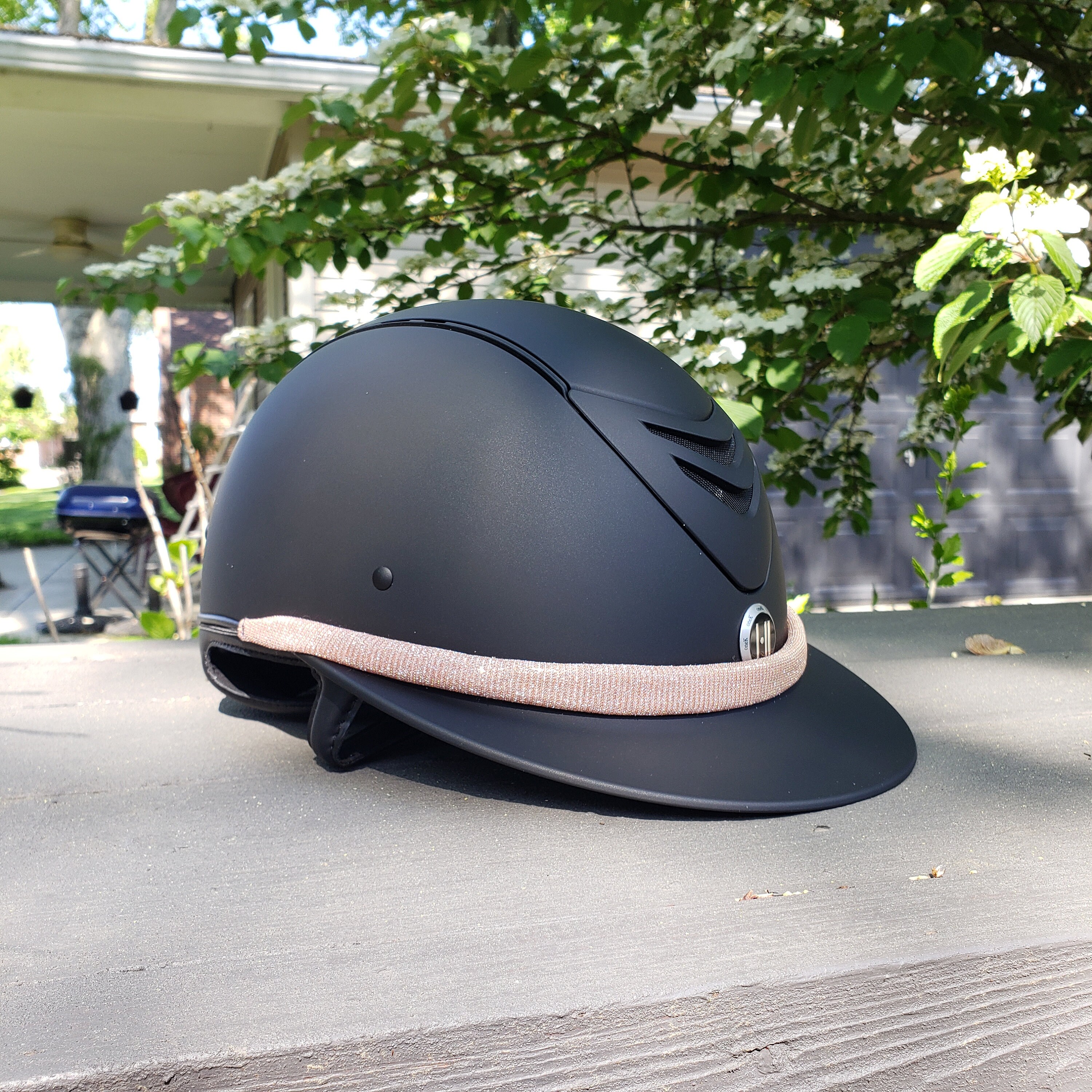 Rose Gold Glitter Helmet Hat Band Bling Accessory for Equestrian ...