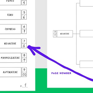 Printable Mind Map Template | Mind Map for Studying | Mind | Mind ...