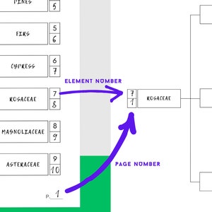 Printable Mind Map Template | Mind Map for Studying | Mind | Mind ...