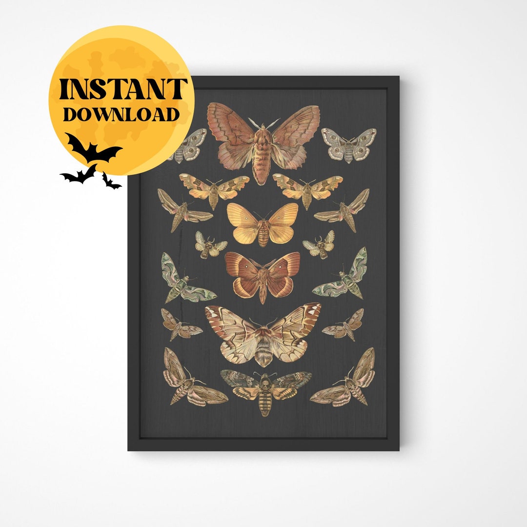 Vintage Moth Diagram Wall Art | Halloween Printable, Spooky Decor ...