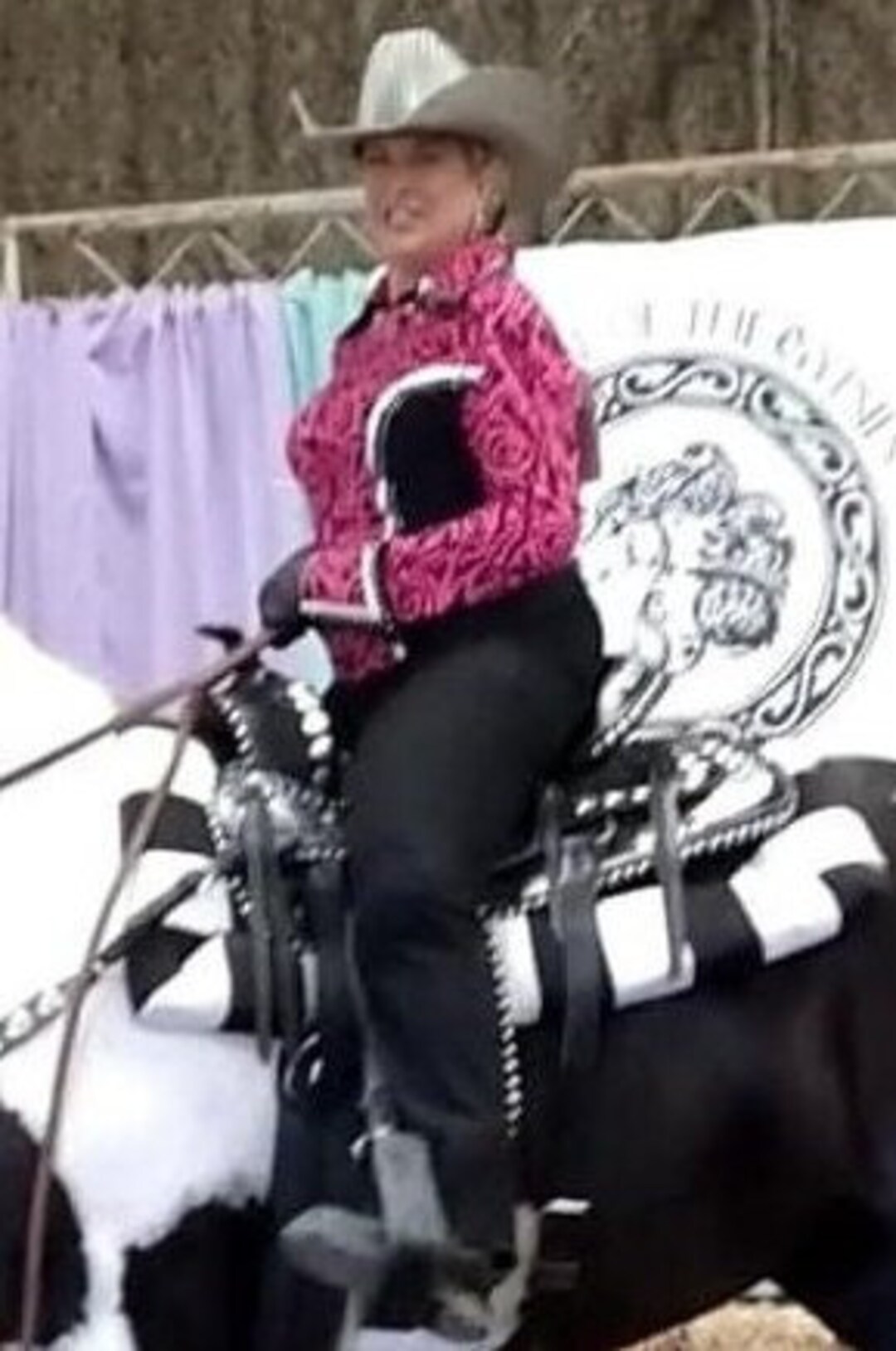 Horse Pony Show Clothing Plus Size for Carriage Equestrian Riding In ...