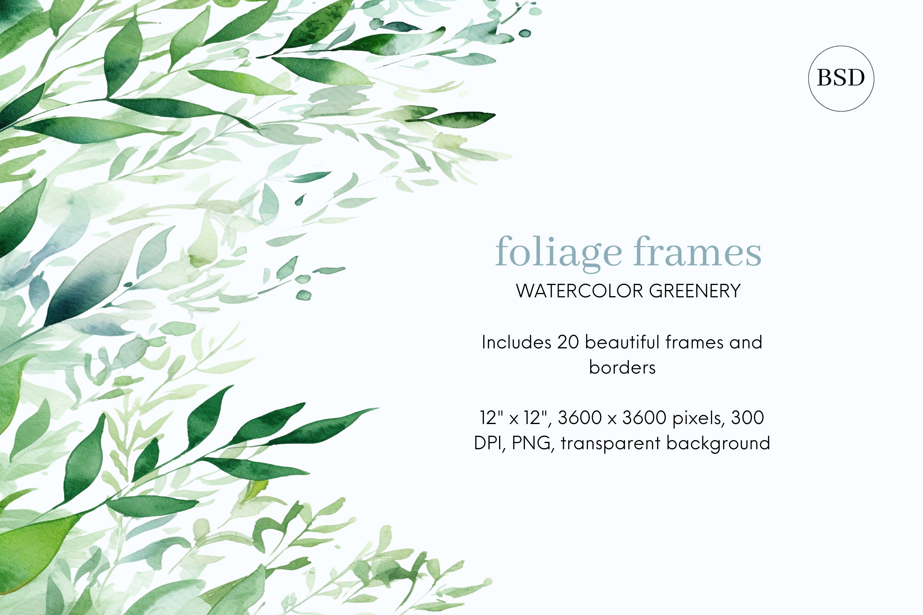 20 Foliage Watercolor Frames and Borders Botanical Greenery - Etsy