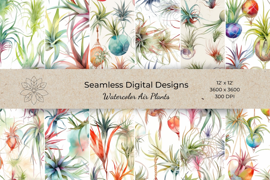 Air Plant Watercolor Floral Digital Papers Airplant Watercolor Flowers ...