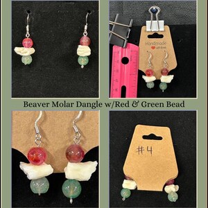 Real Animal Tooth Earrings Beaver Silver Dangle Bead Molar Choose 1 - Etsy