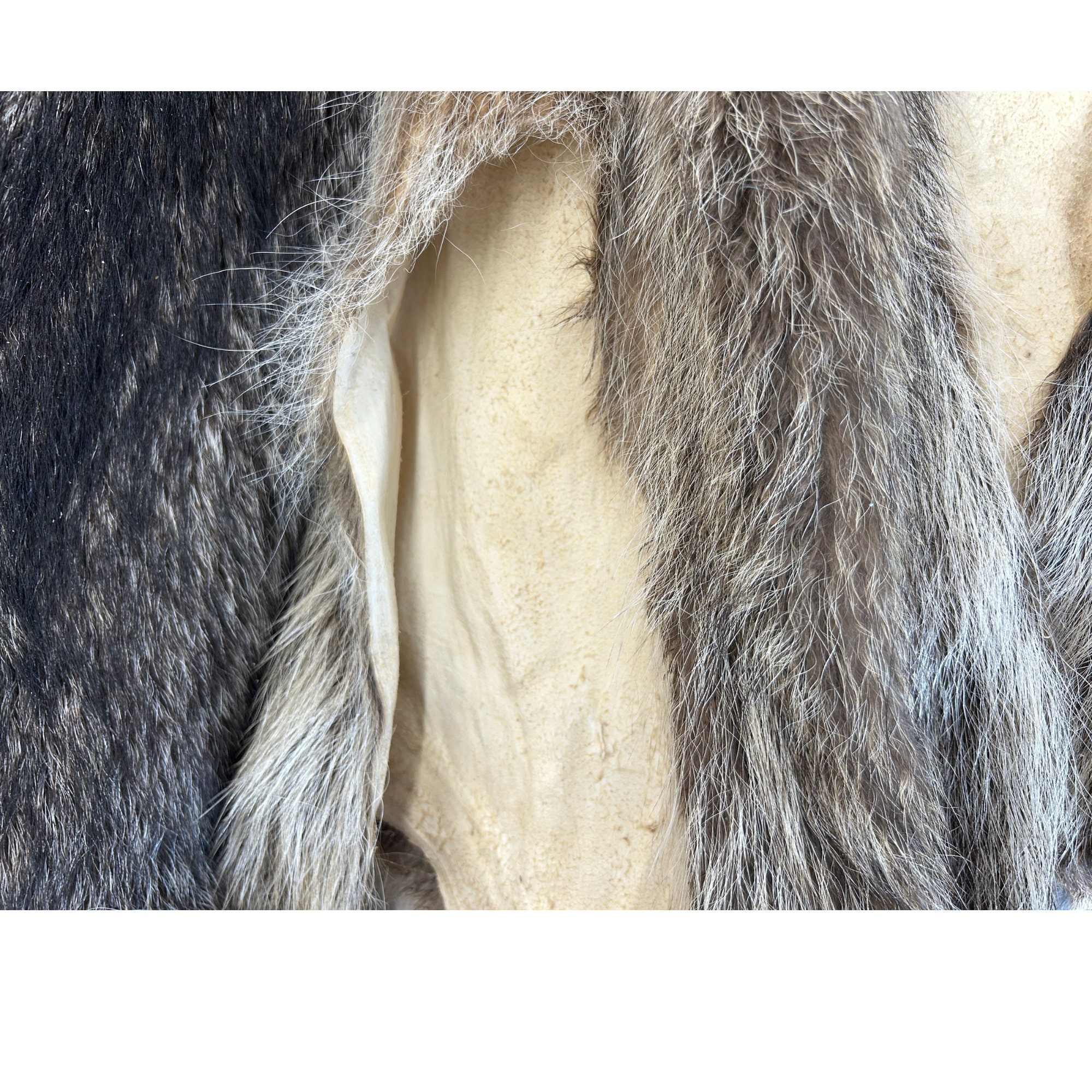 Craftsman Tanned Raccoon Fur Skin Pelt Hide Wall Hanging Hunting Lodge ...