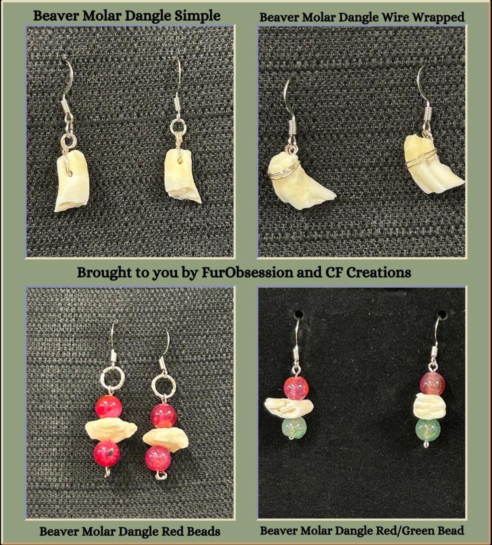 Real Animal Tooth Earrings Beaver Silver Dangle Bead Molar Choose 1 - Etsy