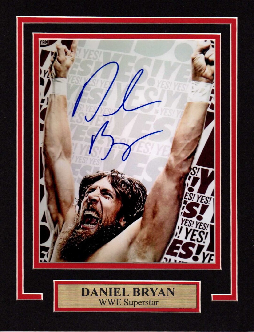 WWE DANIEL BRYAN Autographed Photo With Double Mat and Name Plate - Etsy