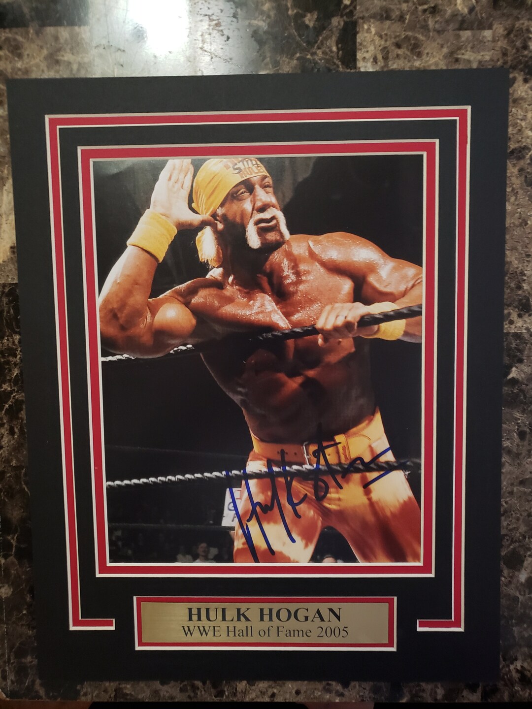 WWE Wwf Wcw Hulk Hogan Autographed Photo With Double Mat and Name Plate ...