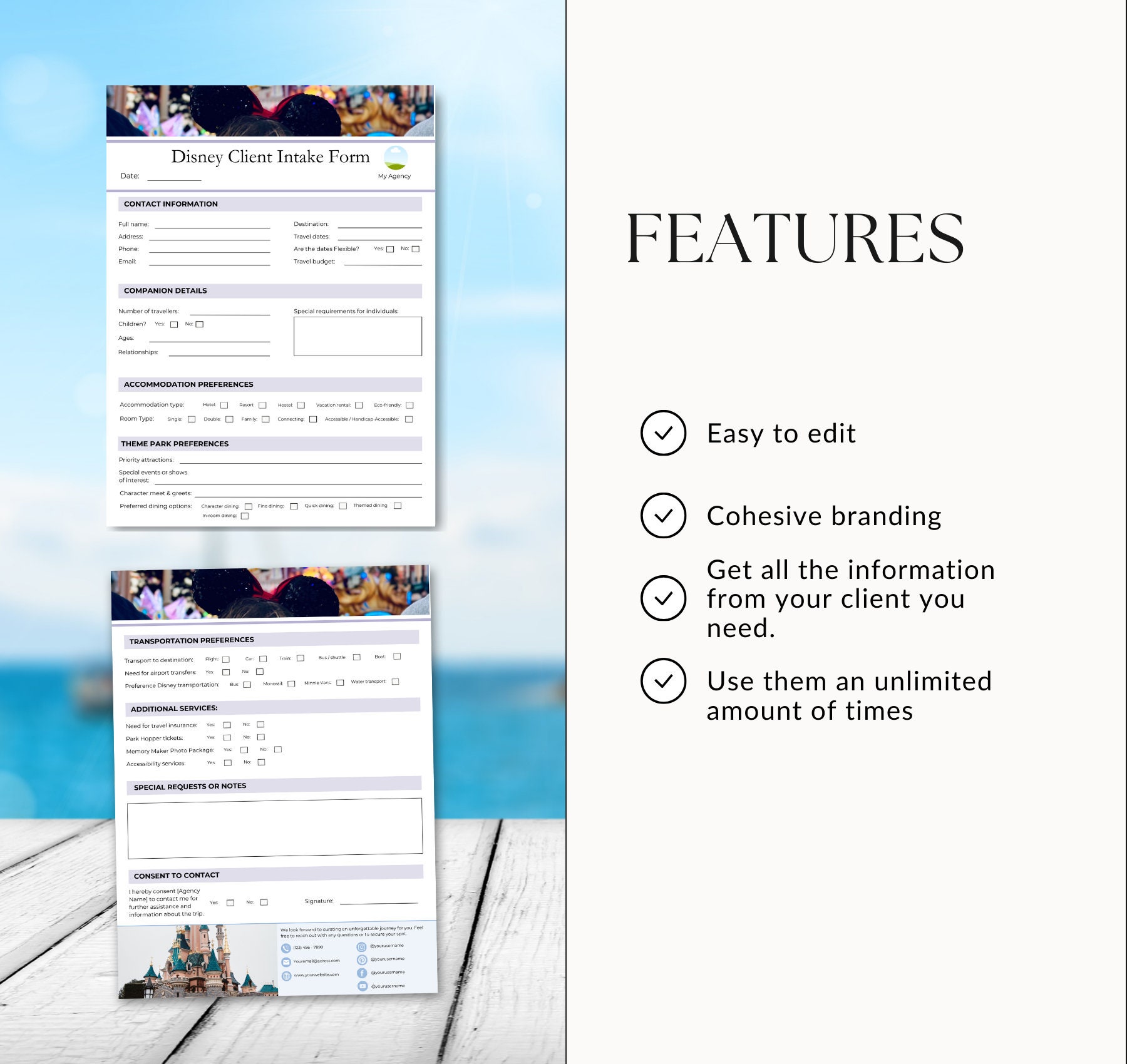 WDW Client Intake Form Travel Agent Travel Agent Templates Forms for ...