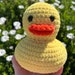 Mama and Baby Rubber Duck Crochet Patterns No-sew - Etsy