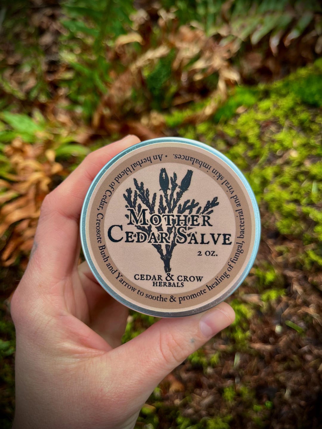 Mother Cedar Salve - Western Red Cedar, Creosote Bush, Yarrow Herbal ...