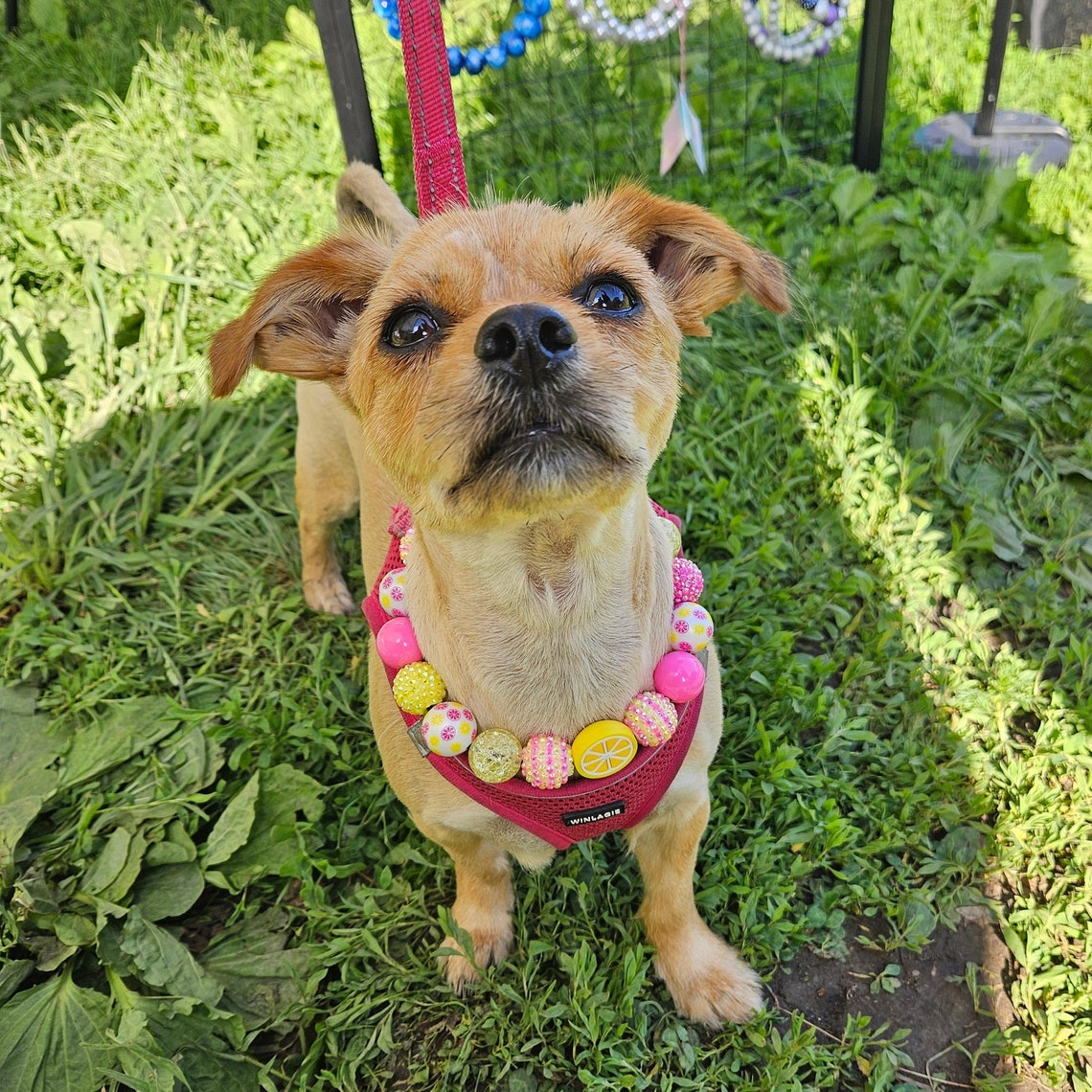 Pink Lemonade Beaded Dog/cat Necklace/o-ring Collar/martingale Chain ...