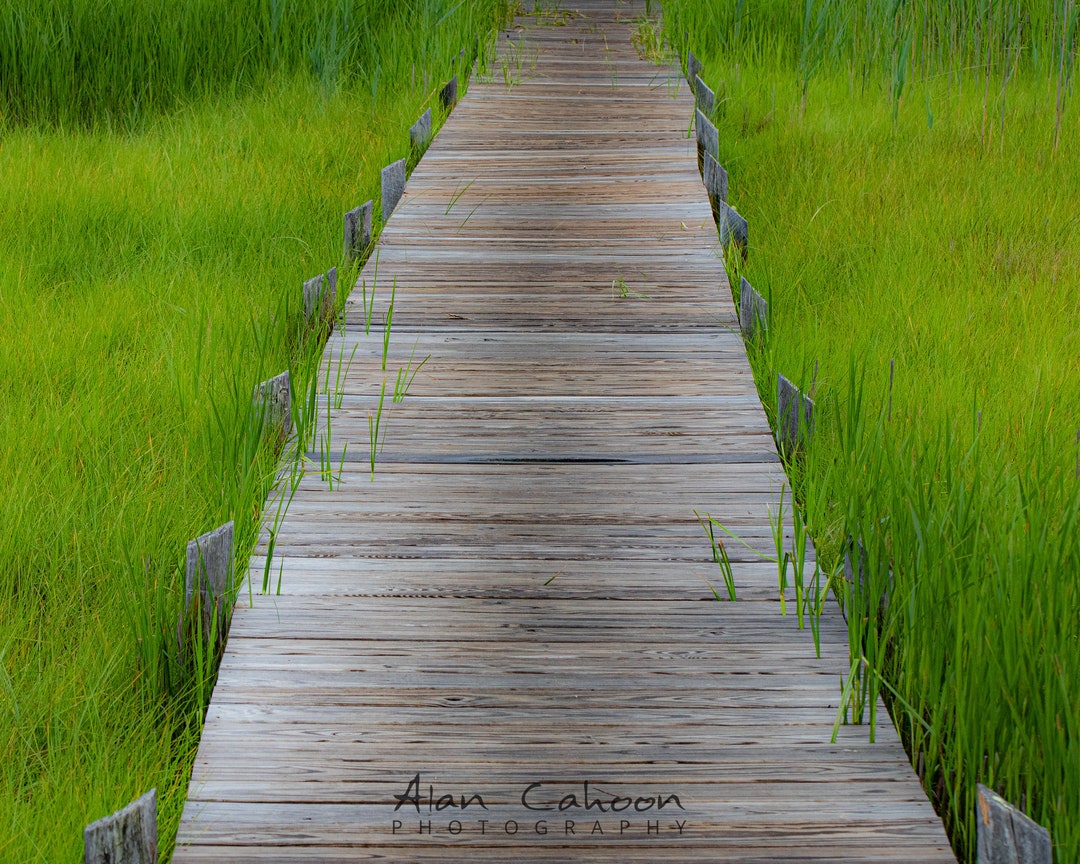 Farm Pond Walkway Photo, Oak Bluffs, Martha's Vineyard - Etsy