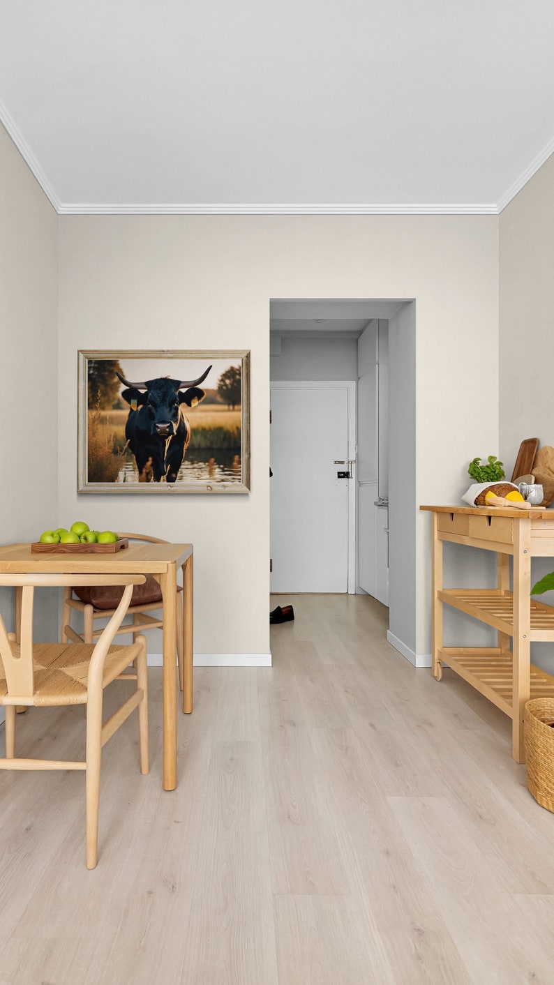 Cattle Photography, Cattle Wall Art, Digital Download - Etsy