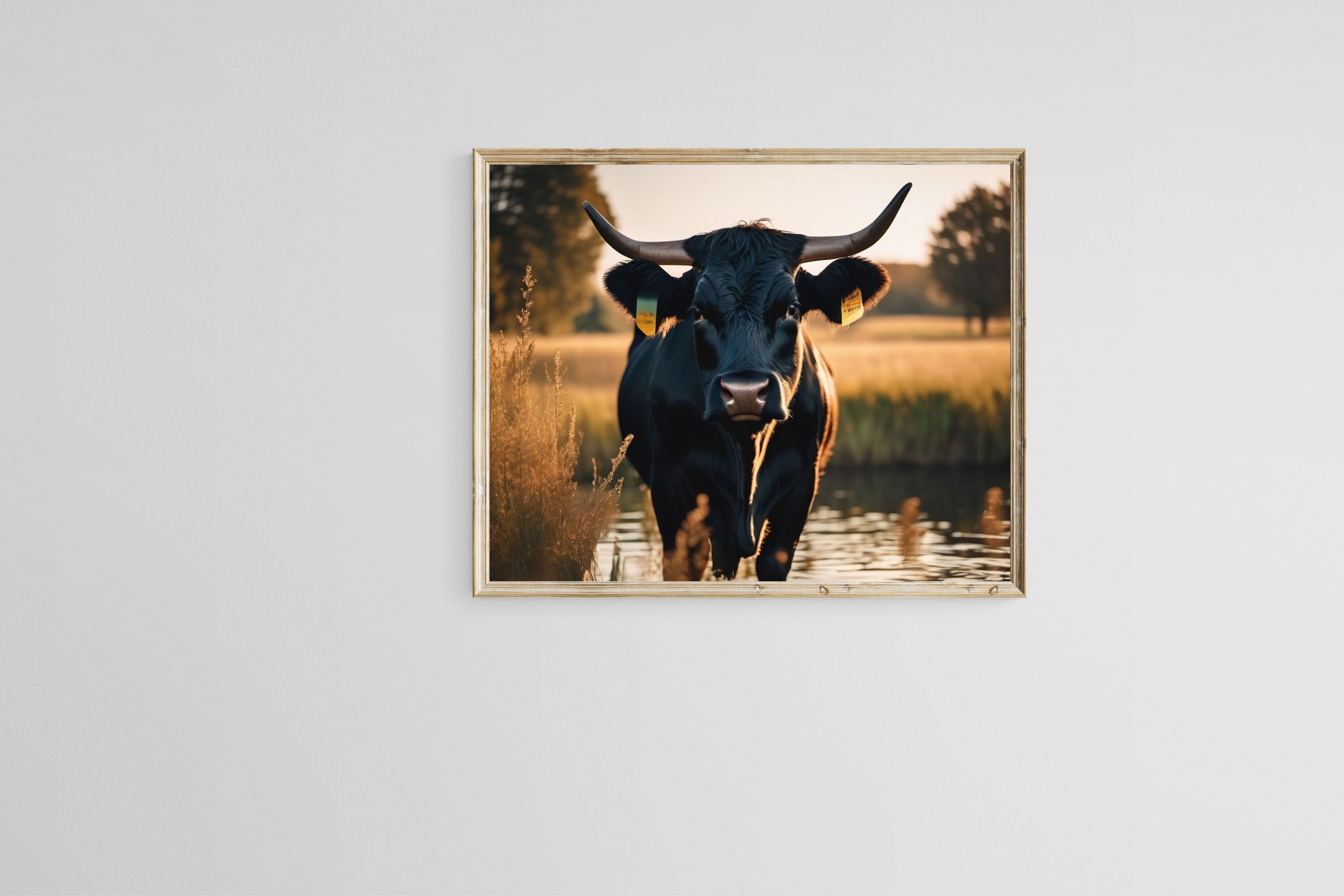 Cattle Photography, Cattle Wall Art, Digital Download - Etsy