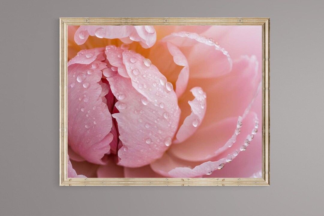 Flower Art, Flower Download,peony Bud, PRINTABLE Wall Art , Digital ...