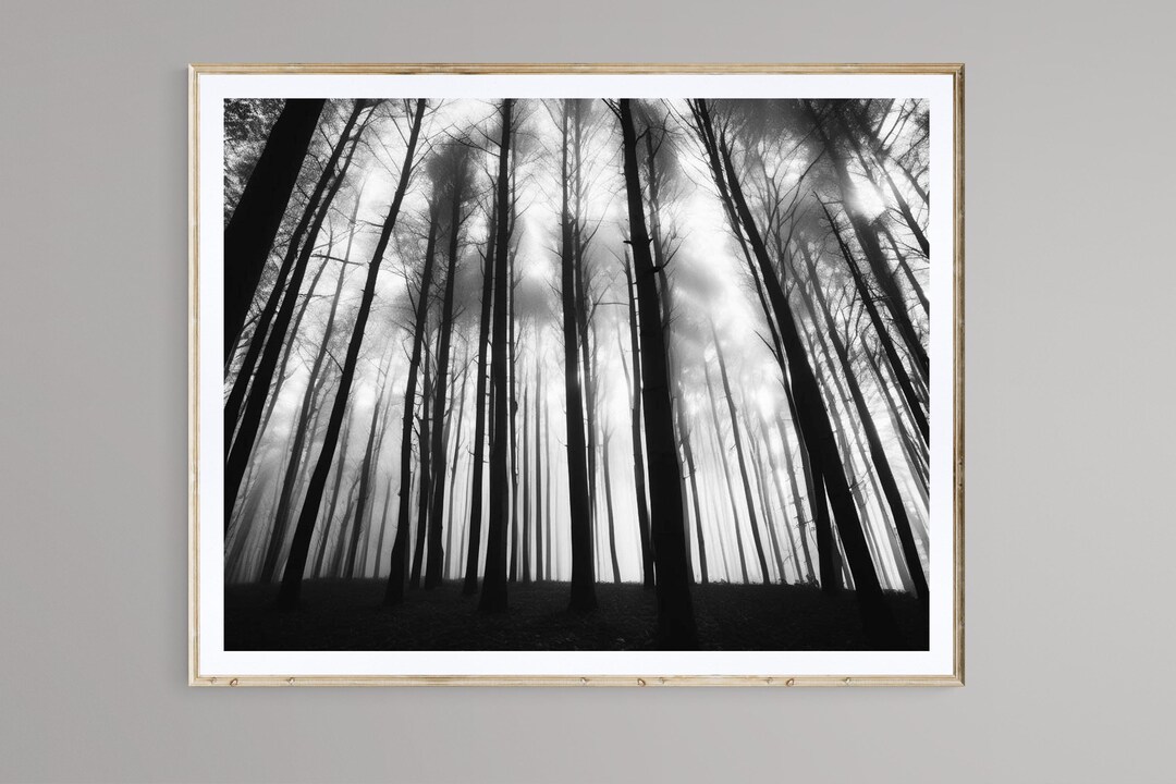 Black and White Tree Photography Print: Canvas Wall Art (digital ...