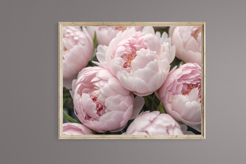 Pink Peony Print: Floral Wall Art (digital Download) - Etsy