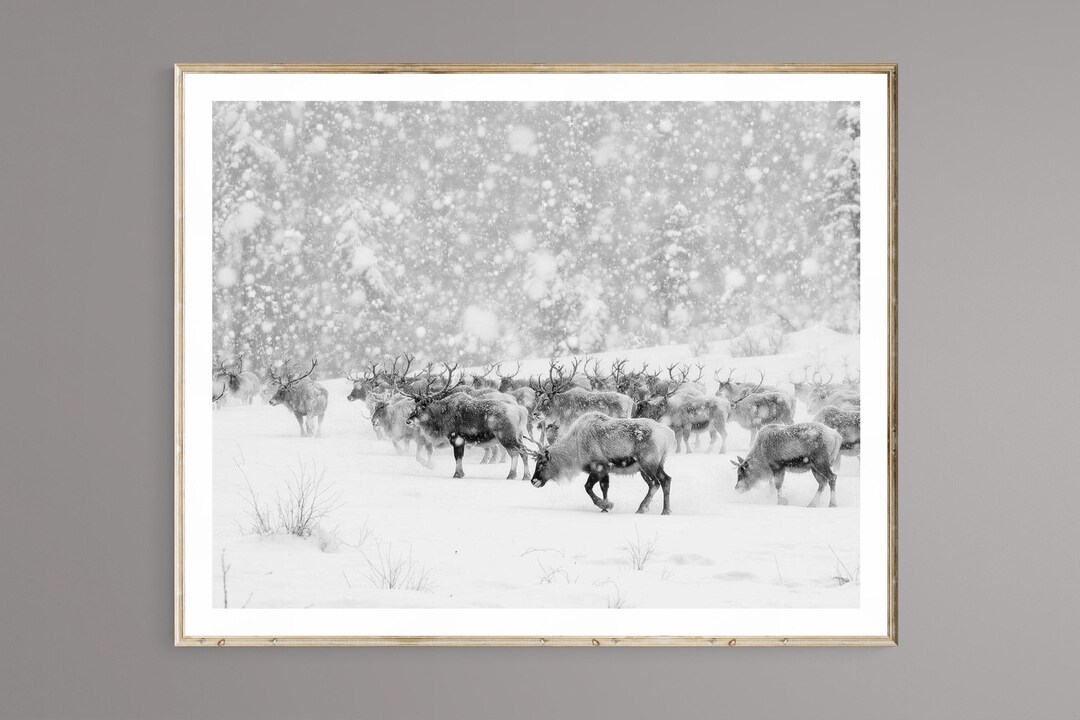 Reindeer in Snow Printable: Winter Scene (digital Download) - Etsy