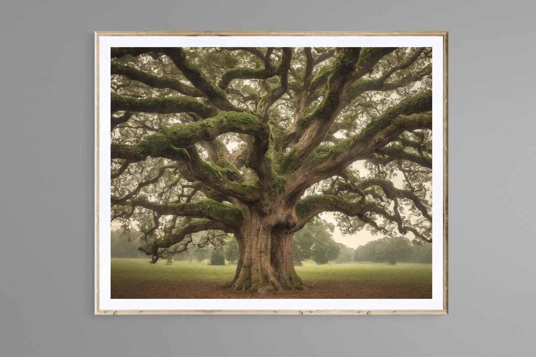 Tree Photography Print: Nature Art, Digital Download - Etsy