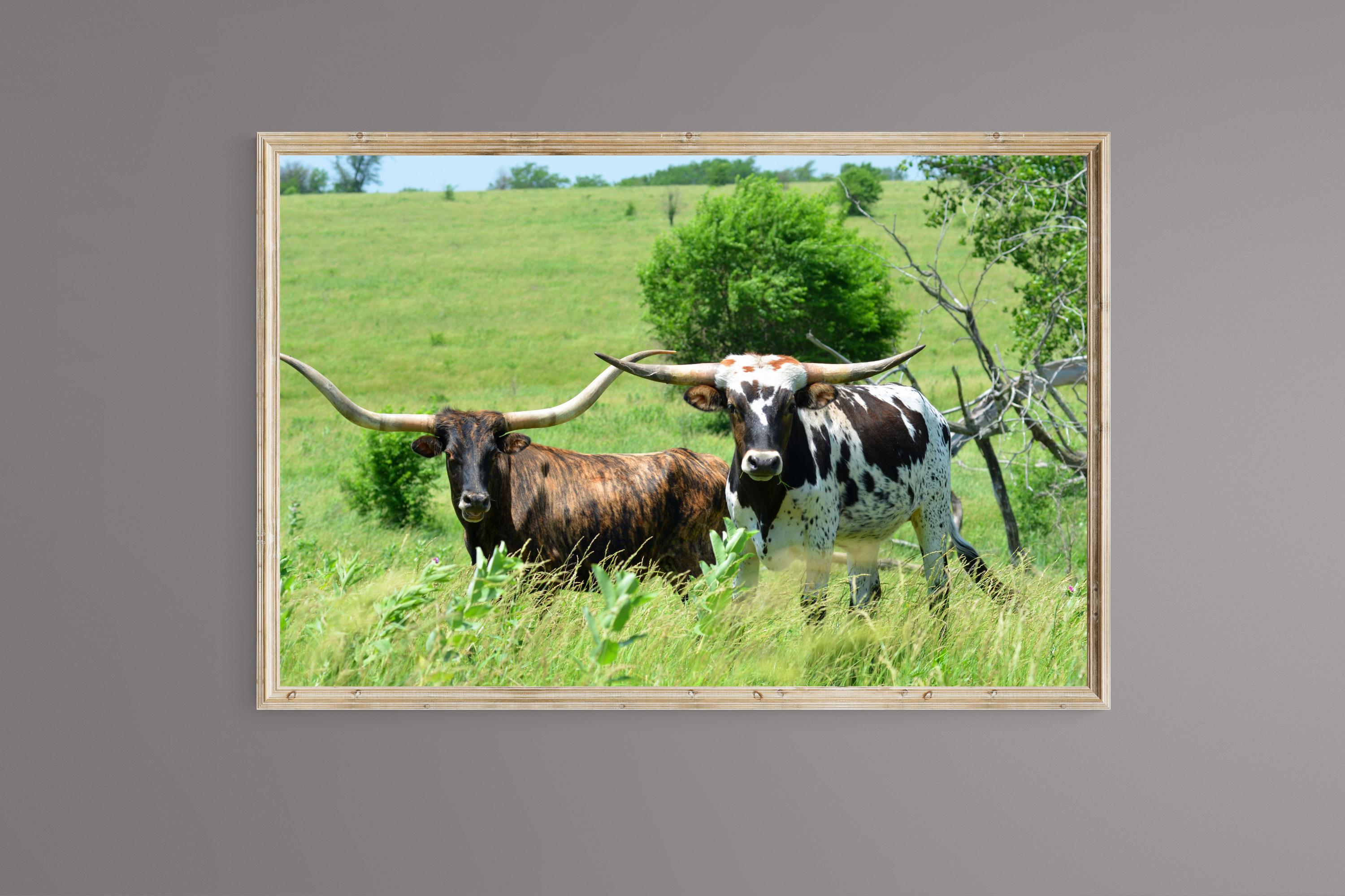 Longhorns, Cattle,printable Wall Art, Digital Download, Longhorns ...