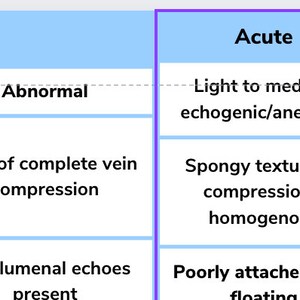Vascular Cheat Sheet Ultrasound Tech Vascular Study Guide RVT - Etsy