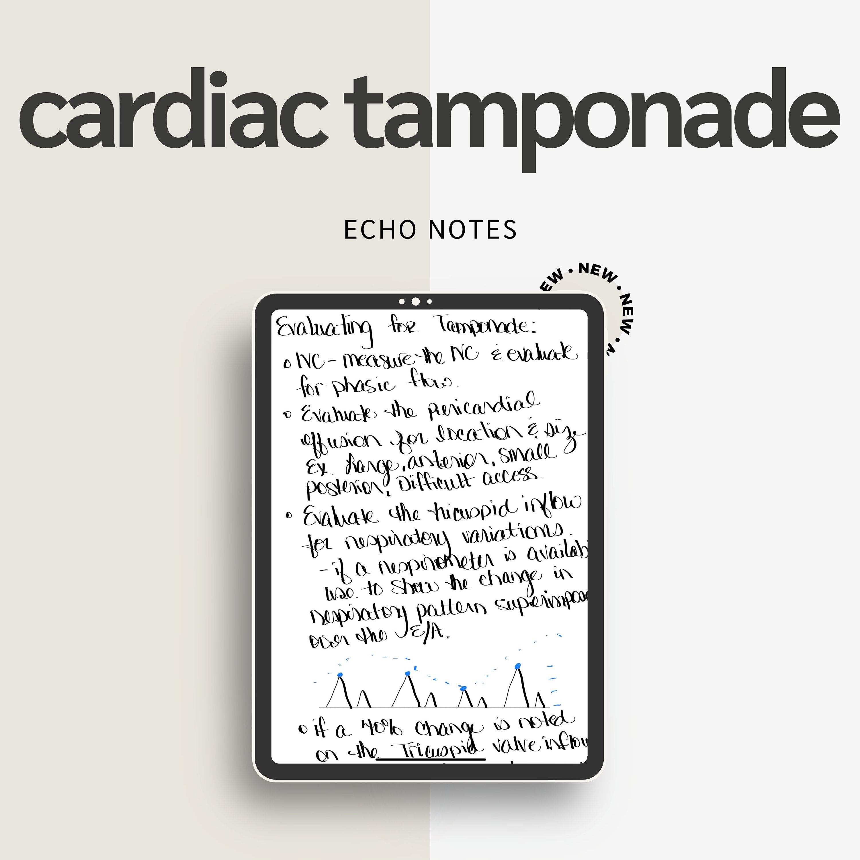 Sonography Notes Echocardiogram Study Guide Echo Tech Cheat Sheets ...
