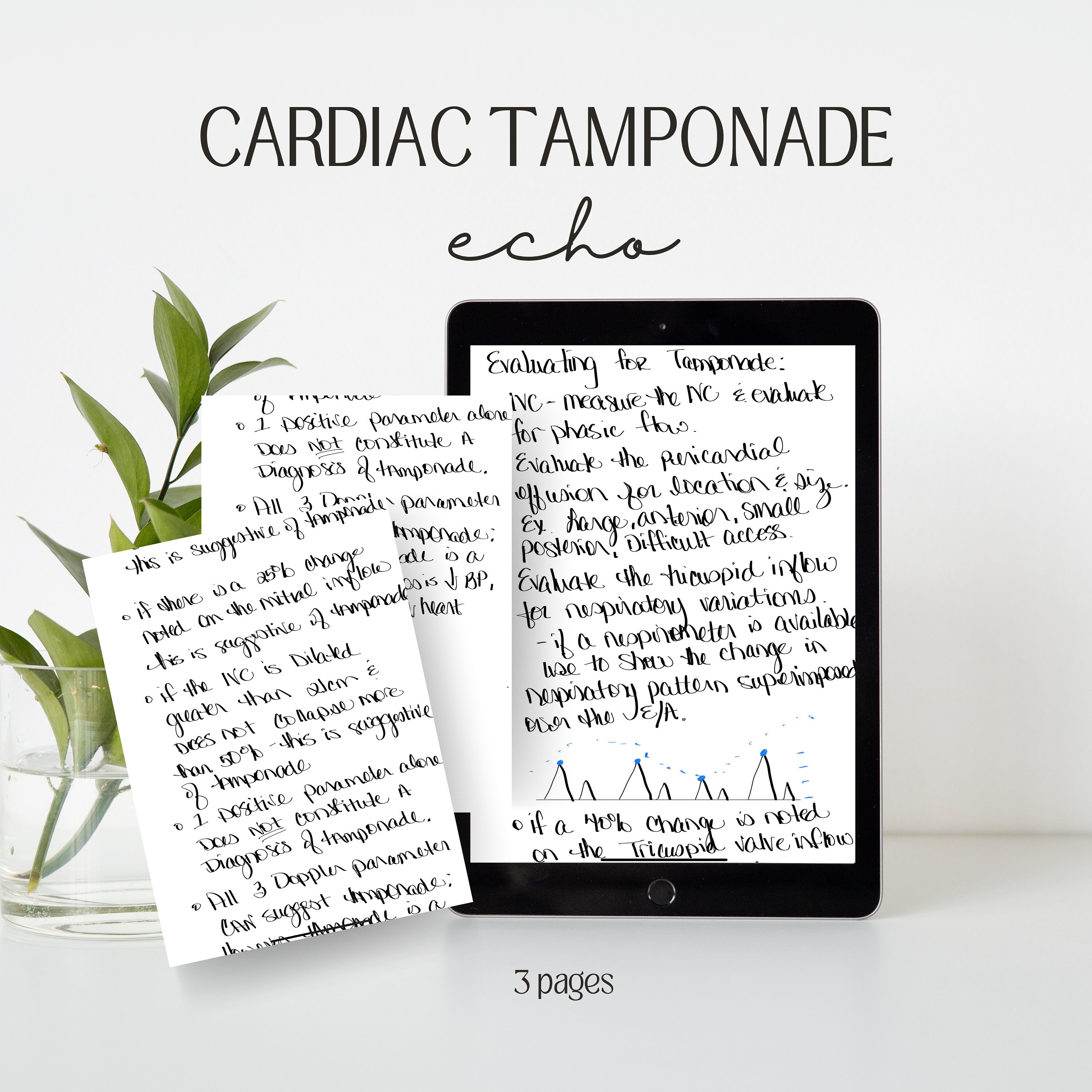 Sonography Notes Echocardiogram Study Guide Echo Tech Cheat Sheets ...