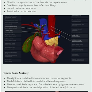 Ultrasound Abdomen Notes Pancreas Sonography Student Notes Ultrasound ...
