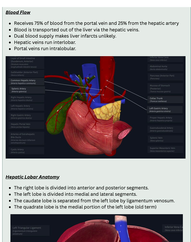 Ultrasound Abdomen Notes Pancreas Sonography Student Notes Ultrasound ...