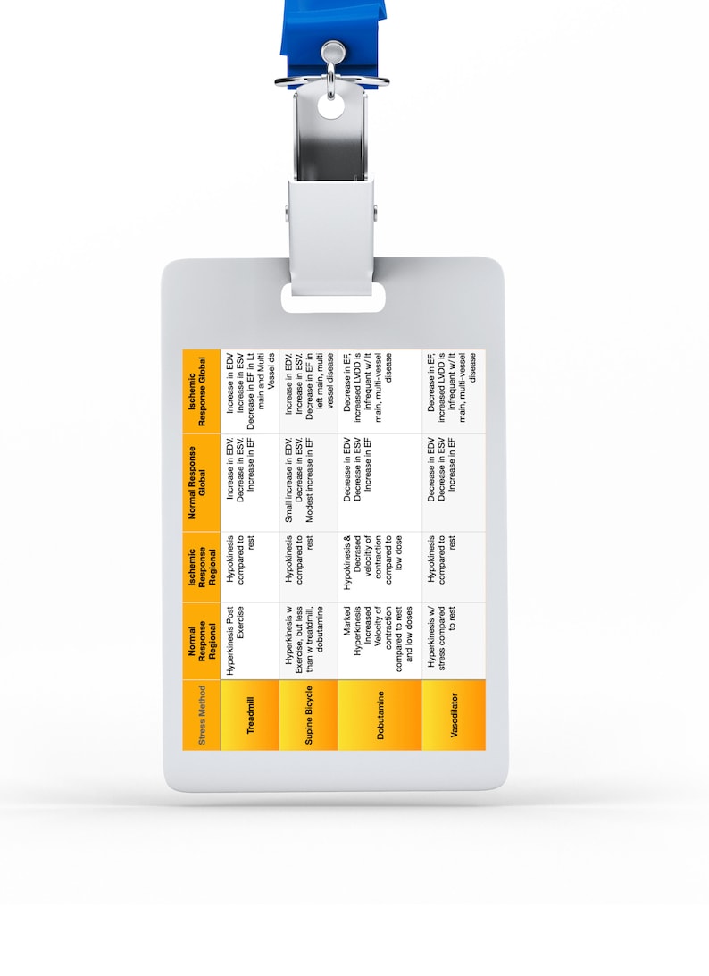 Echo Badge Buddy Large Print Ultrasound Tech Echocardiography Student ...