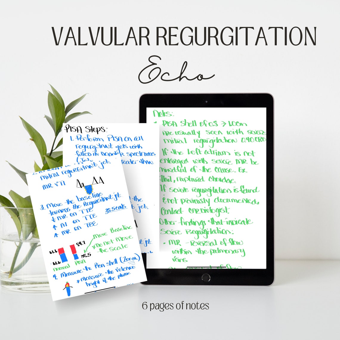 Sonography Notes Echocardiogram Study Guide Echo Tech Cheat Sheets ...