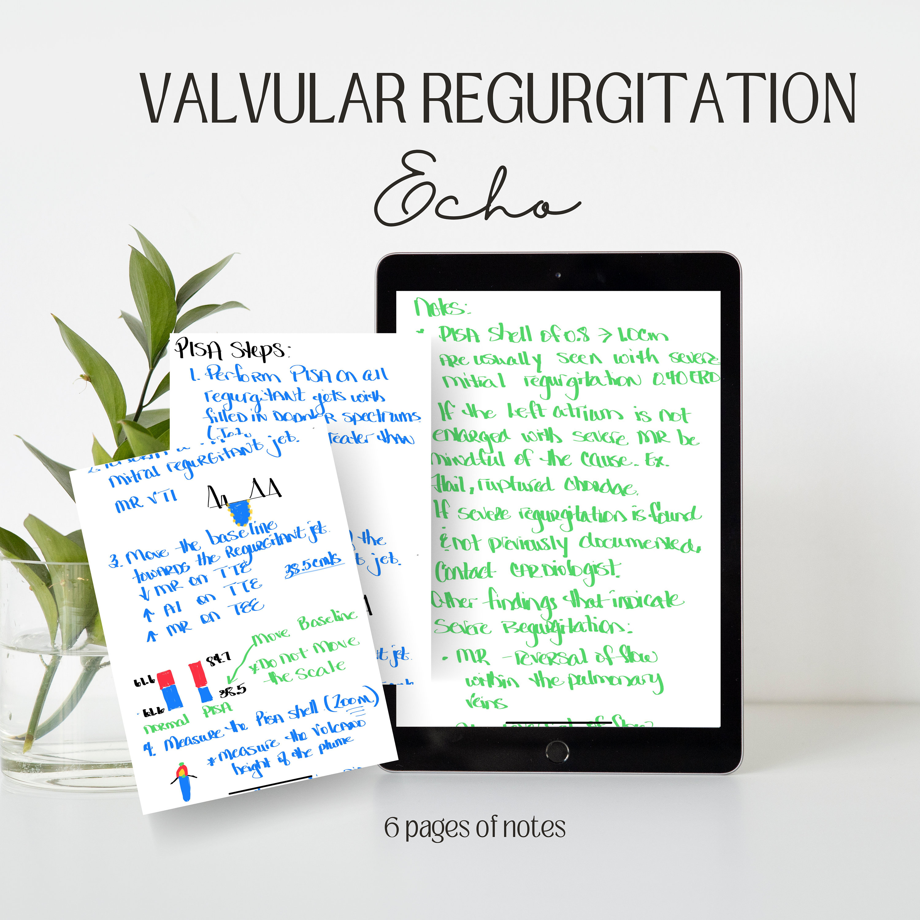 Sonography Notes Echocardiogram Study Guide Echo Tech Cheat Sheets ...