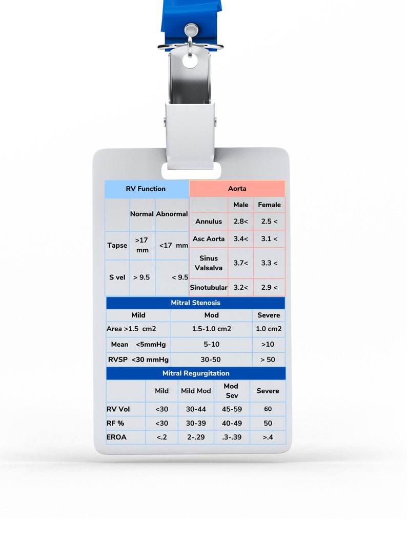 Echo Badge Buddy Large Print Ultrasound Tech Echocardiography Student ...