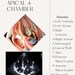 Echocardiography Made Simple Ebook How-to-guide Echo Book Echo Guide ...