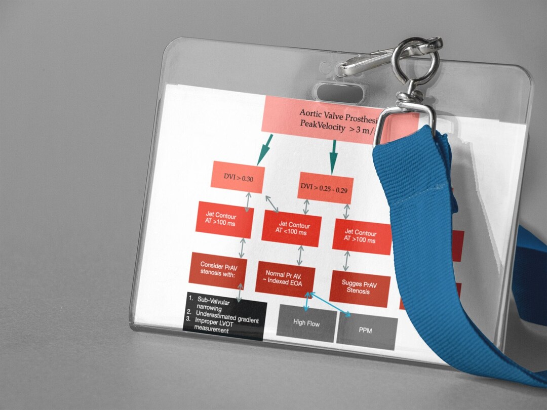 Echo Badge Guide Prosthetic Valve Guide thin Echo Tech - Etsy