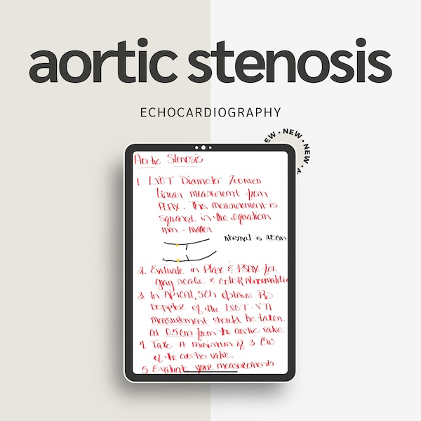 Echocardiogram Student Notes - Etsy