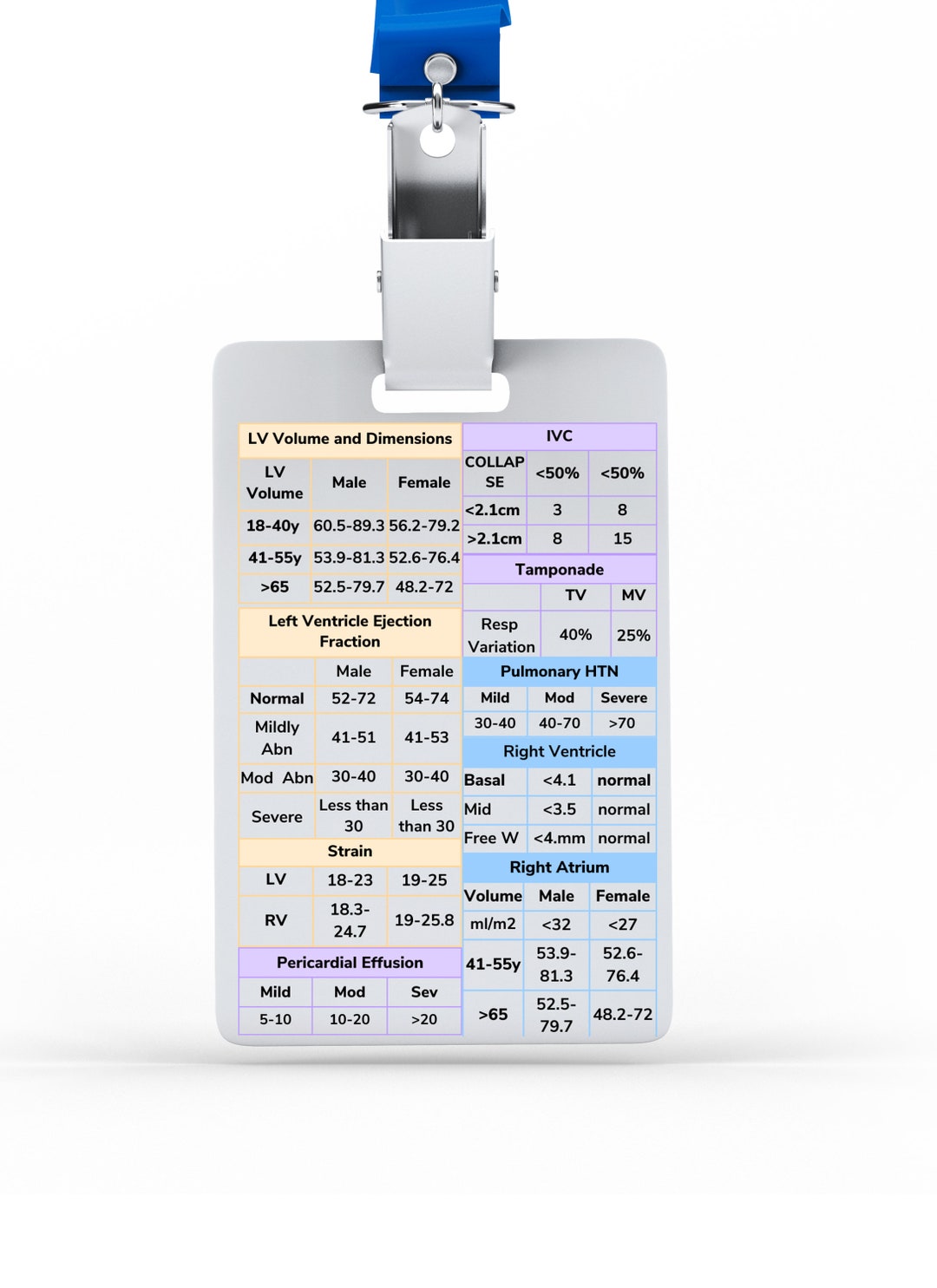 Echo Badge Buddy Large Print Ultrasoundtech Echocardiography Student ...