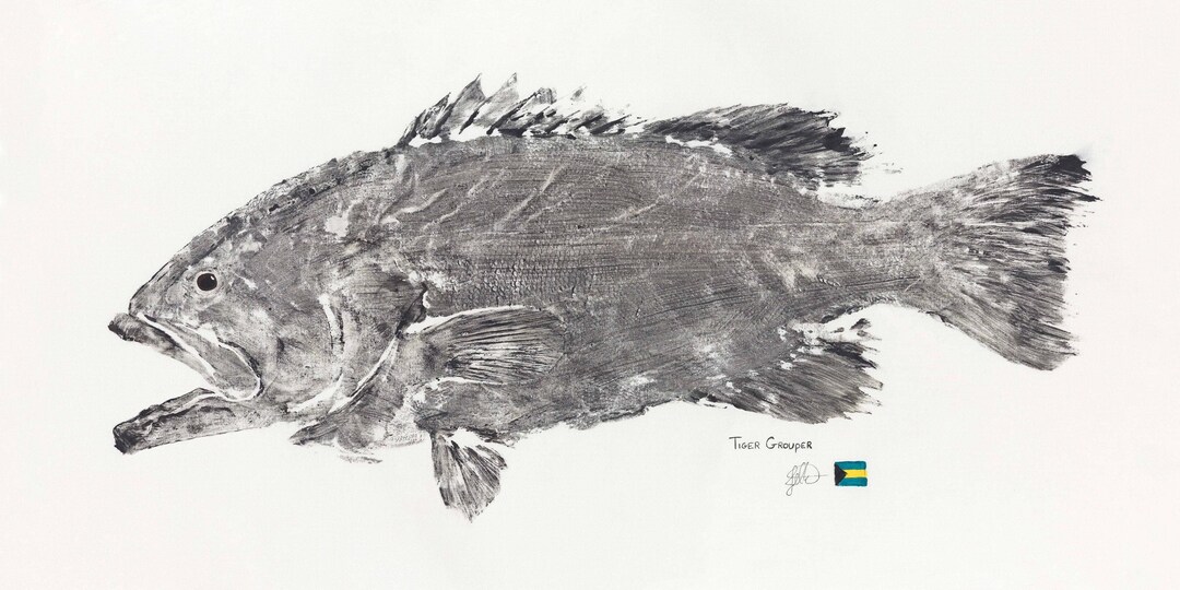 Grouper Fish Print | Fish Print Art, Framed Gyotaku, Gliclee, Fish ...