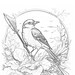 13 Creative Bird Instant Downloadable Digital Colouring Page - Etsy