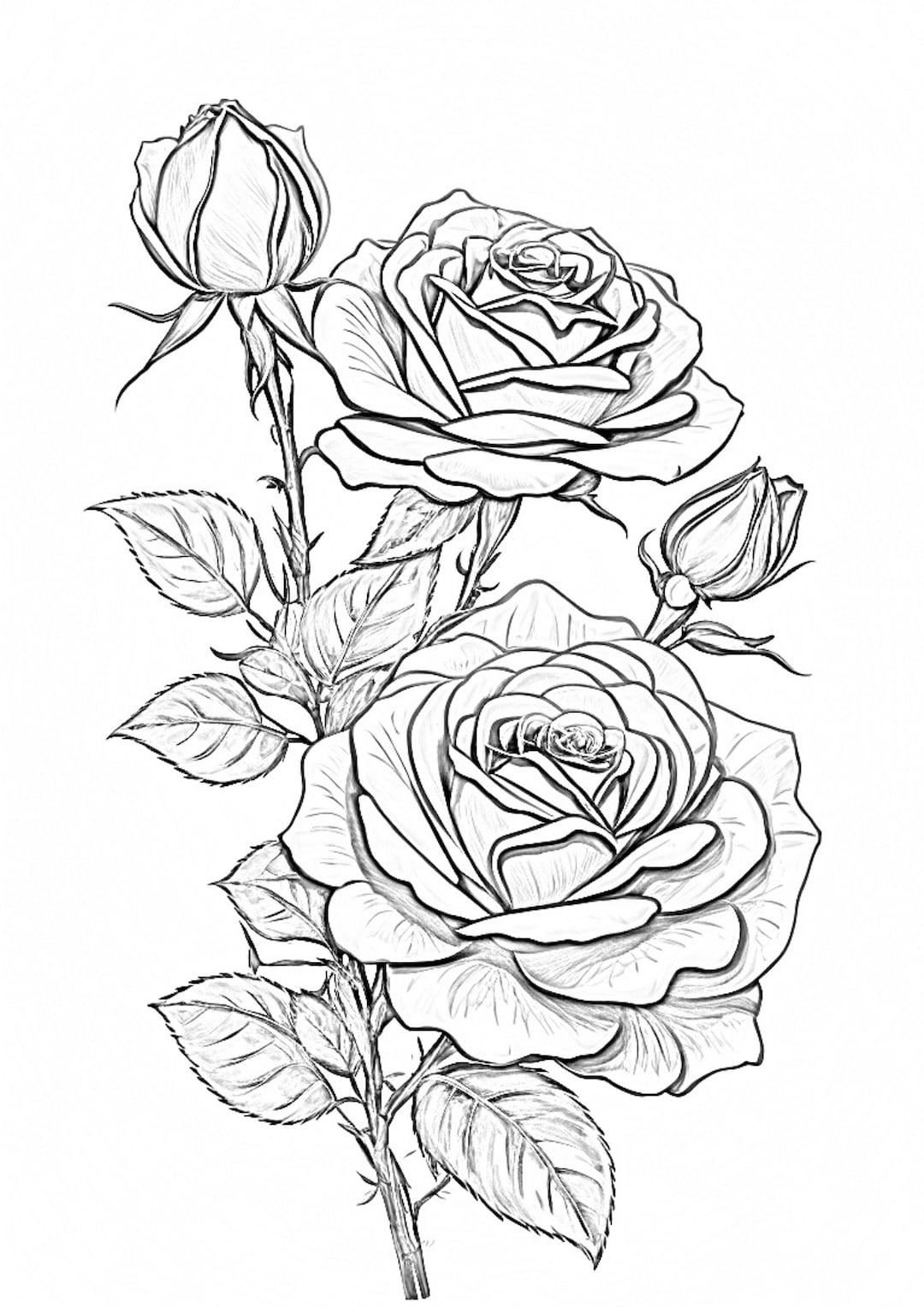 10 Rose Instant Downloadable Digital Colouring Page for Kids - Etsy UK