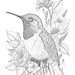 13 Creative Bird Instant Downloadable Digital Colouring Page - Etsy